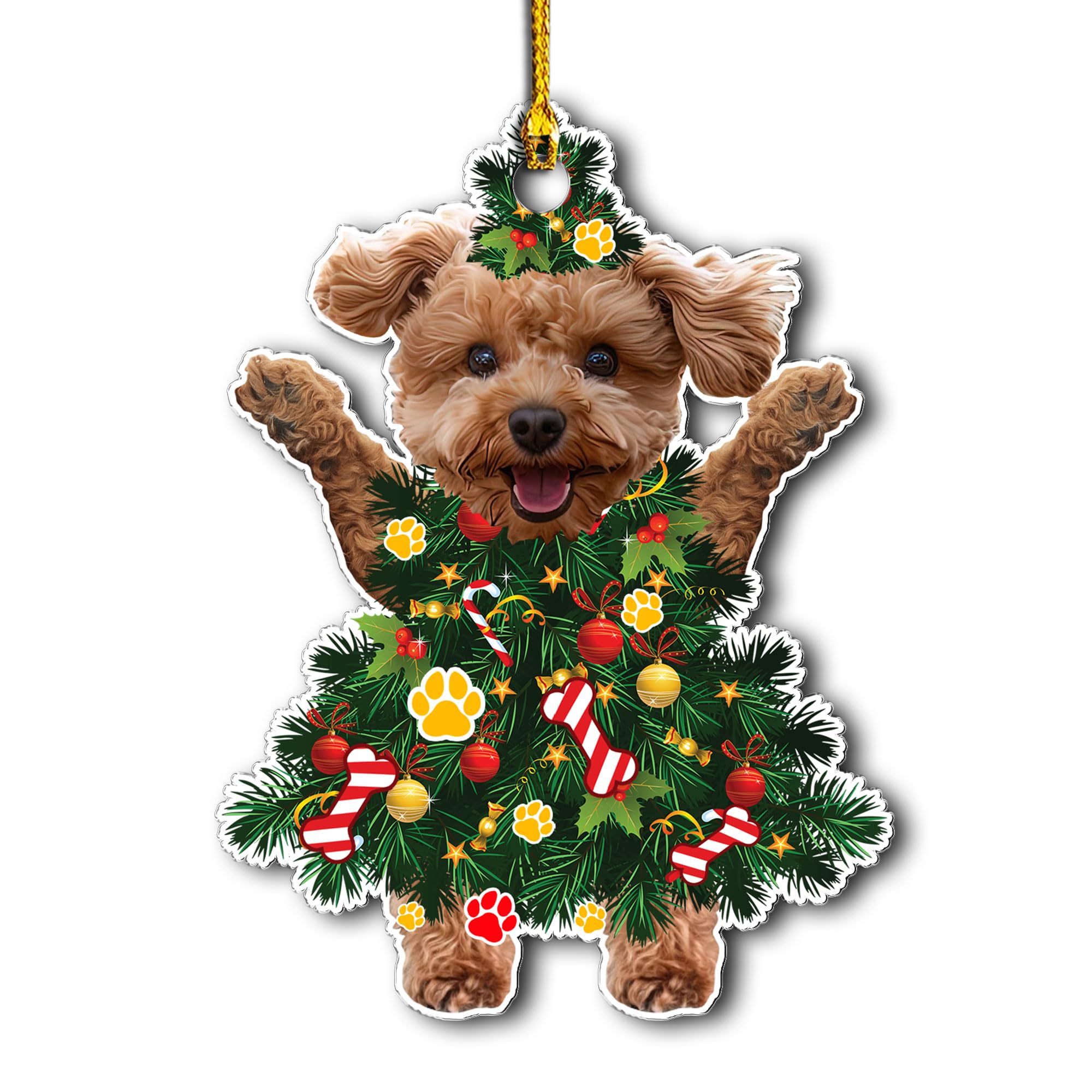 Amazon.com: 2024 Poodle Dog Christmas Ornament - Adorable Dog Dressed ...