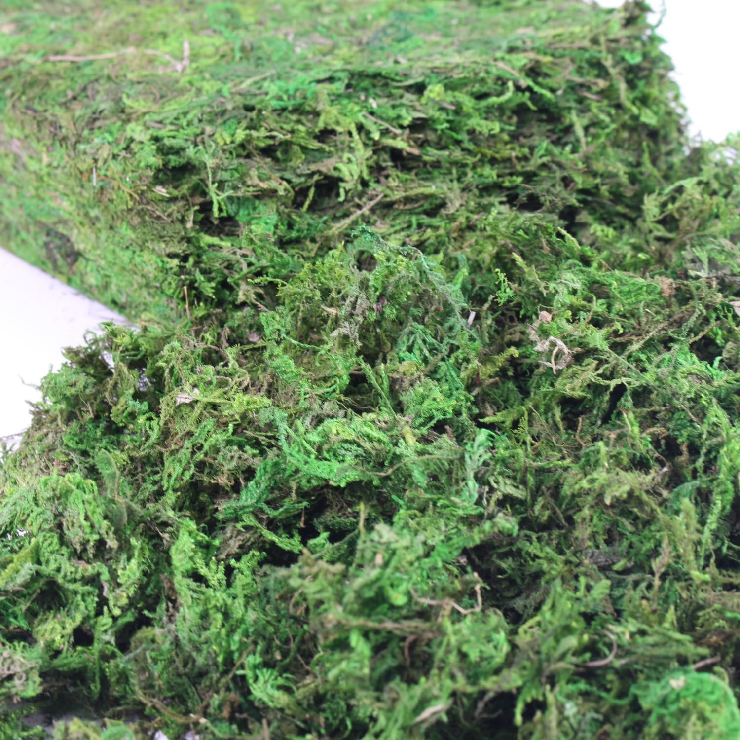 Amazon.com: YGbridge Artificial Moss, 10.5 OZ Green Moss for Decorating ...
