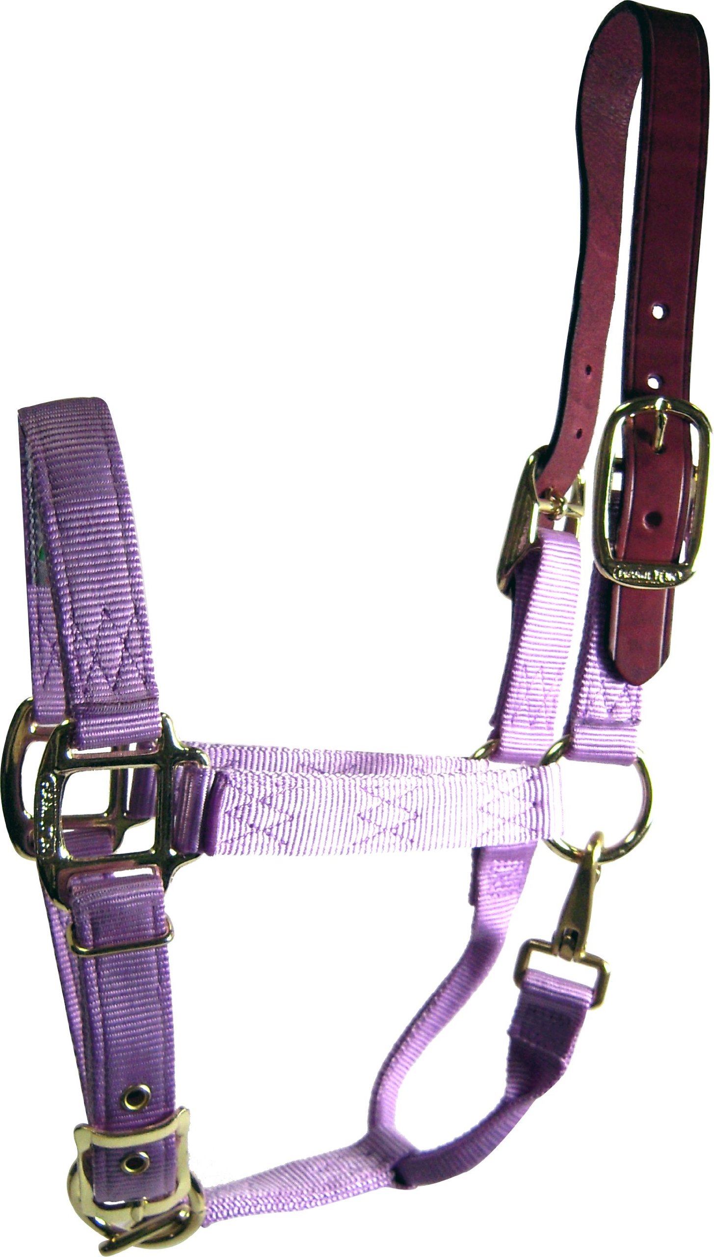 Amazon.com: Hamilton 1 Adjustable Leather Head Poll Halter with Brass ...