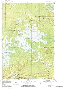 Amazon.com : YellowMaps Brookston NW MN topo map, 1:24000 Scale, 7.5 X ...