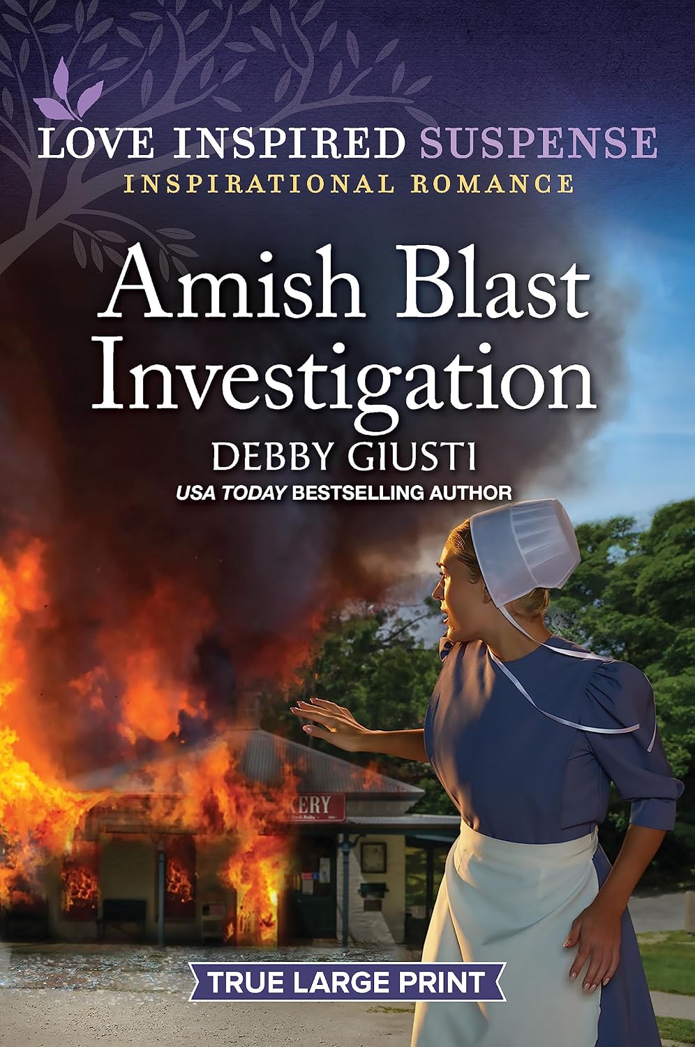 Amish Blast Investigation (Love Inspired Suspense): Giusti, Debby ...
