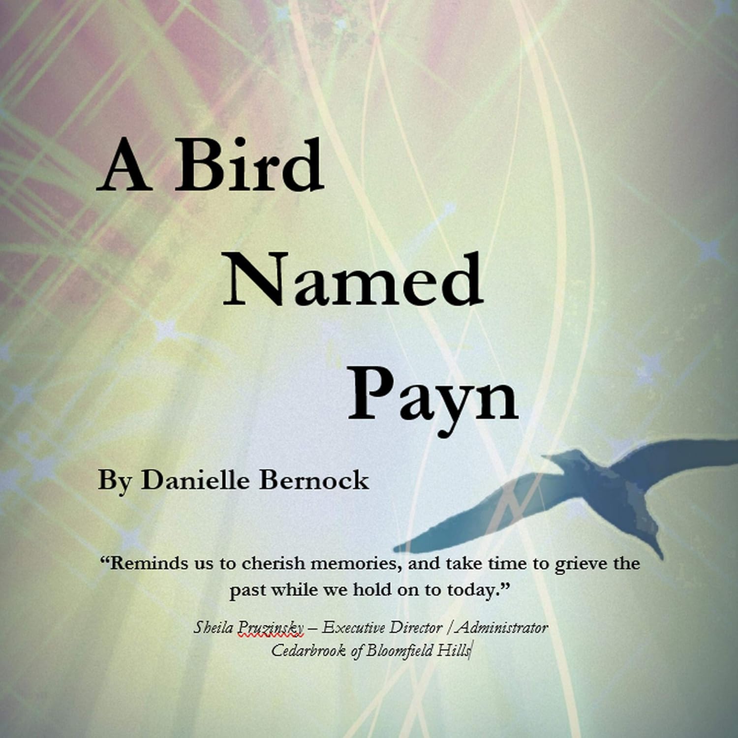 Amazon.com: A Bird Named Payn (Audible Audio Edition): Danielle Bernock ...