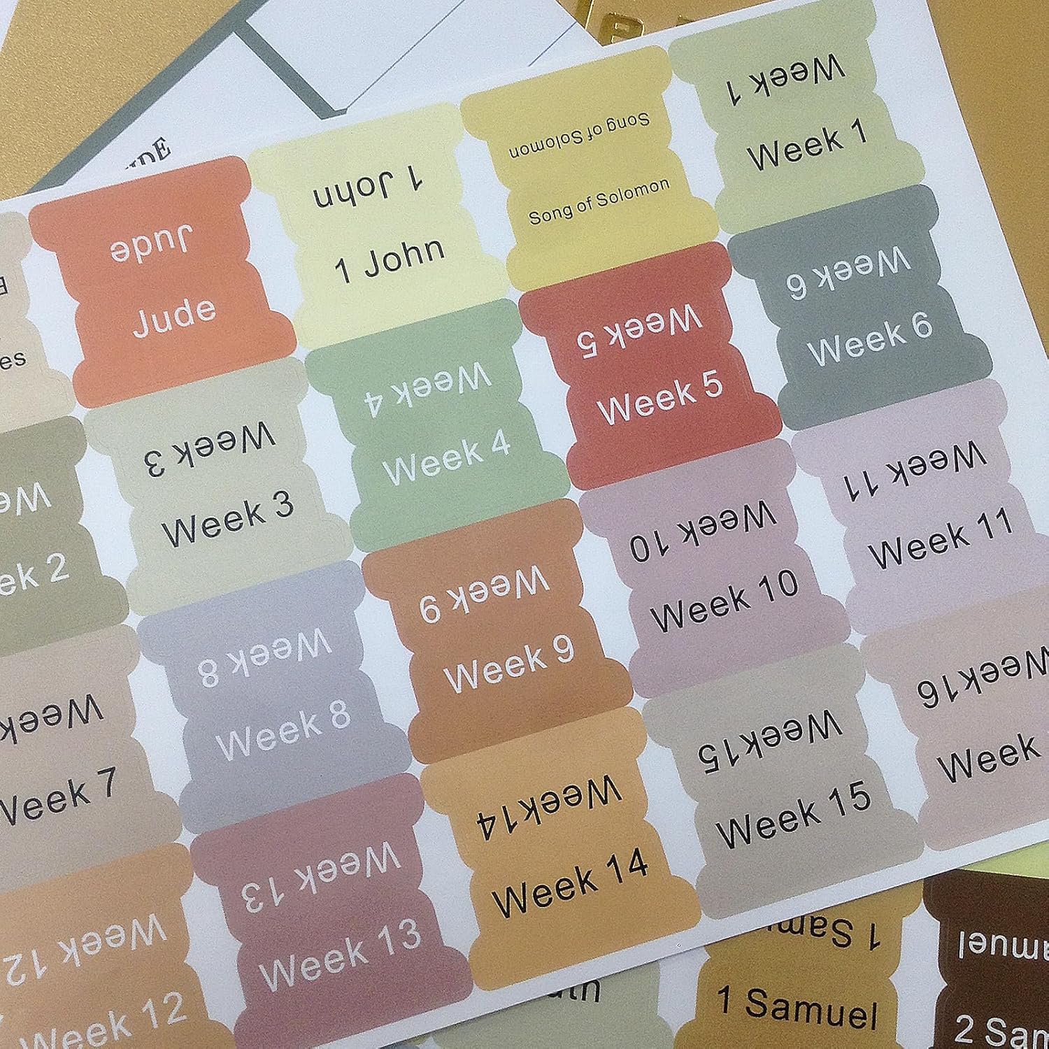 Amazon.com : 120 Catholic Large Print Bible Tabs for Easy to and Apply ...