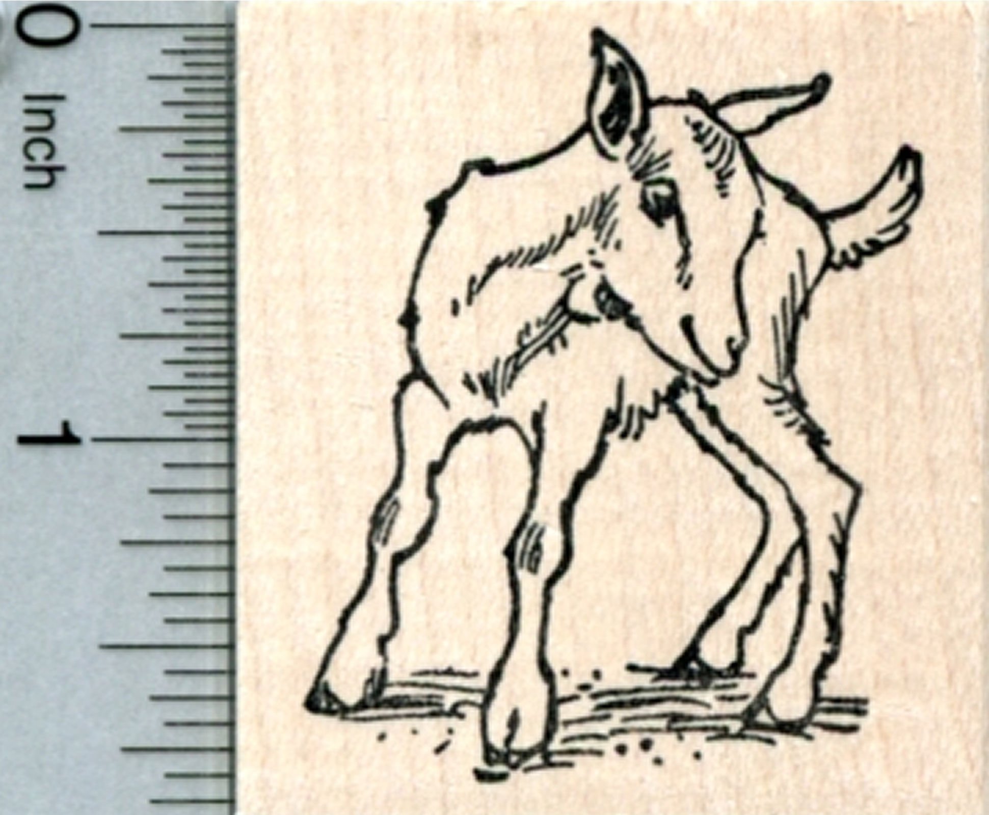 Amazon.com: Baby Goat Rubber Stamp, Cute Kid : Arts, Crafts & Sewing