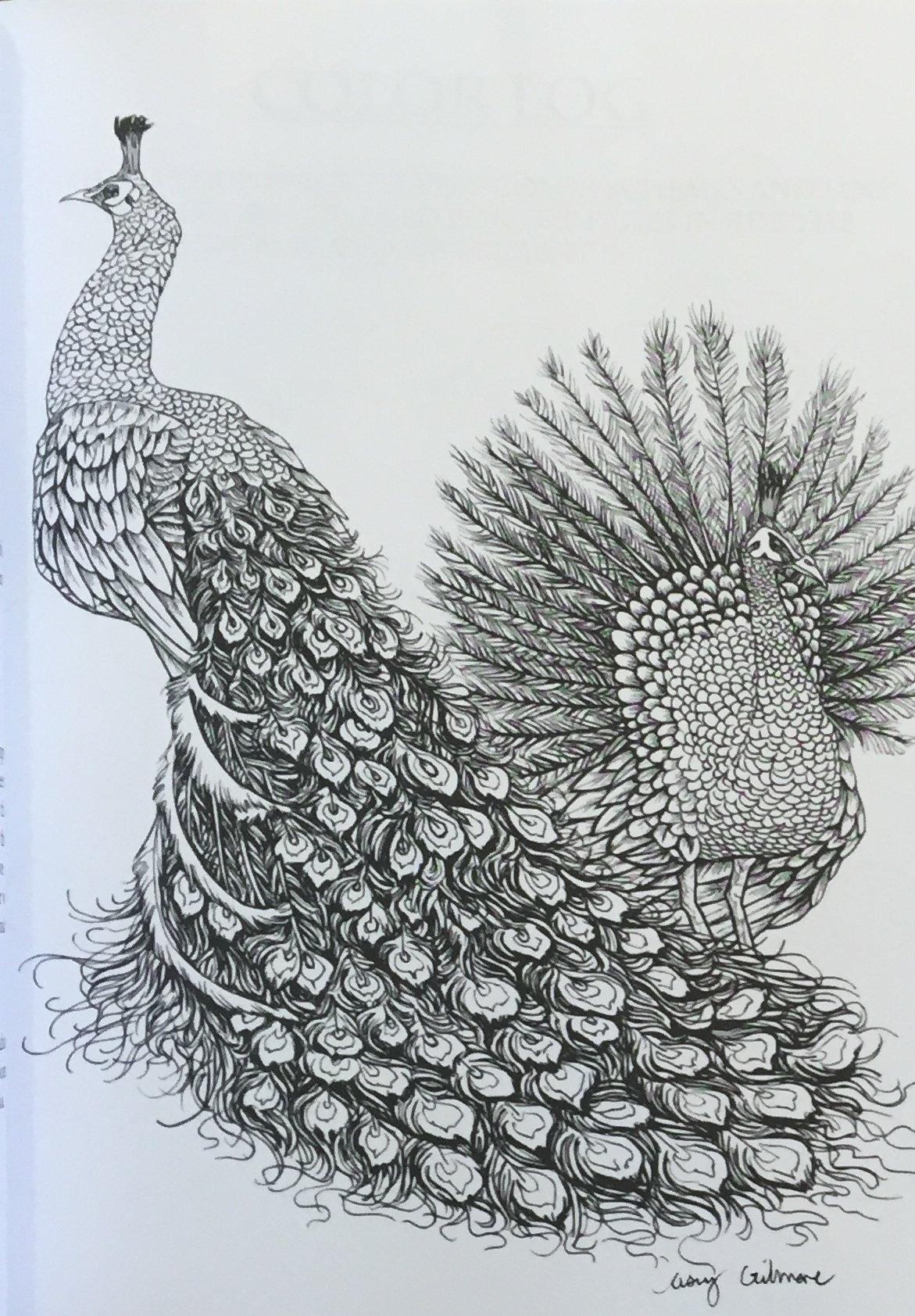 Endangered Coloring Book of Endangered Species Around the World ...