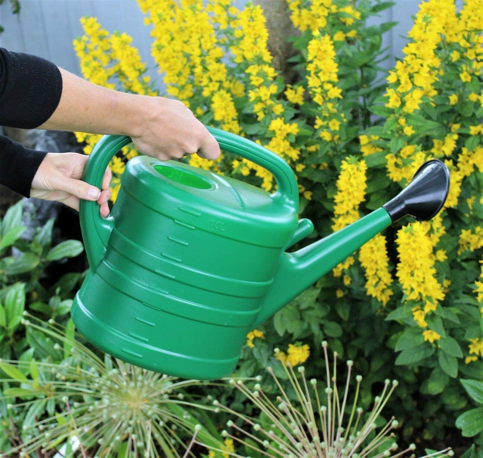 6.5L Litre Watering Can With Rose Strong Plastic Green : Amazon.co.uk ...