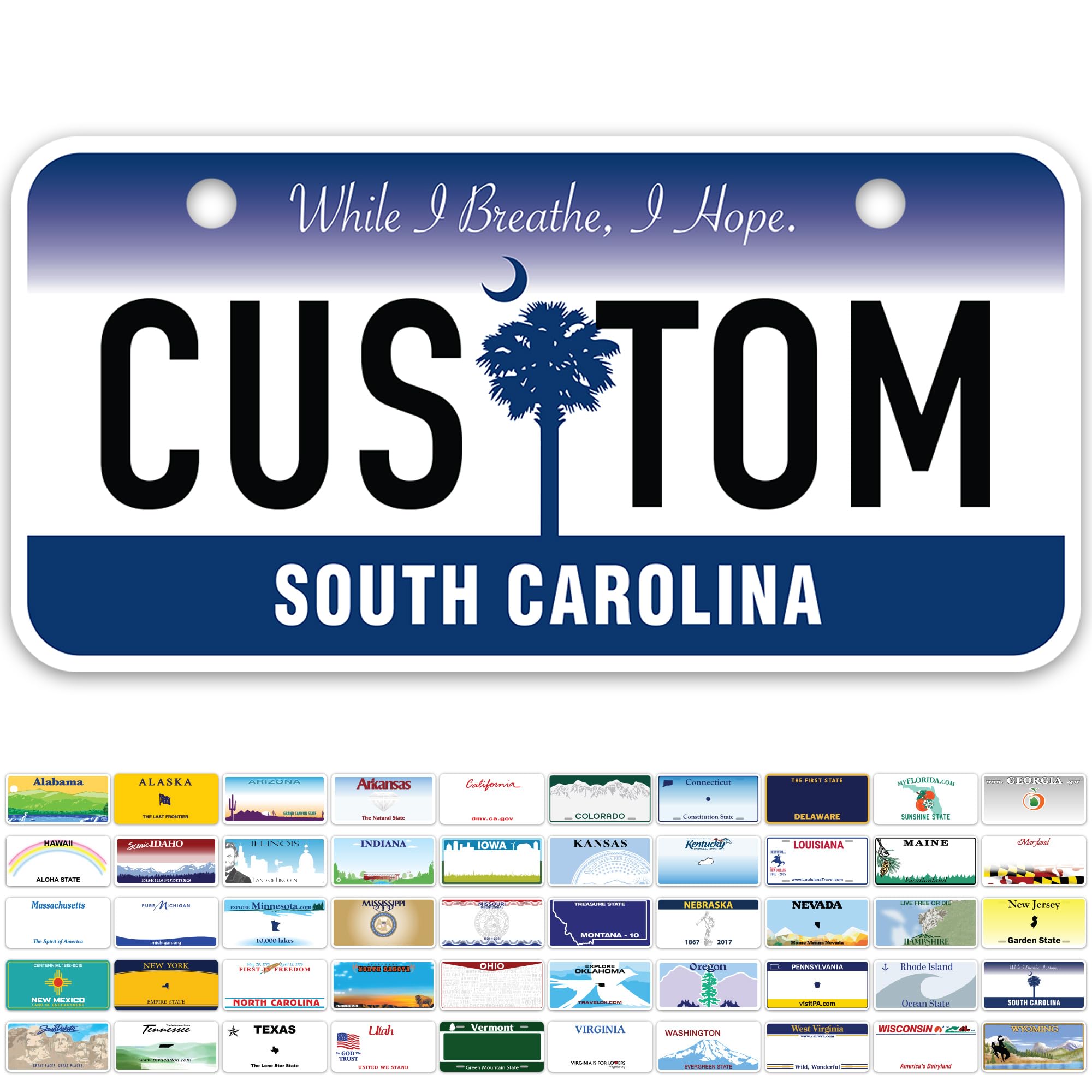 Amazon.com: Mini License Plates, Personalized License Plates, Custom ...