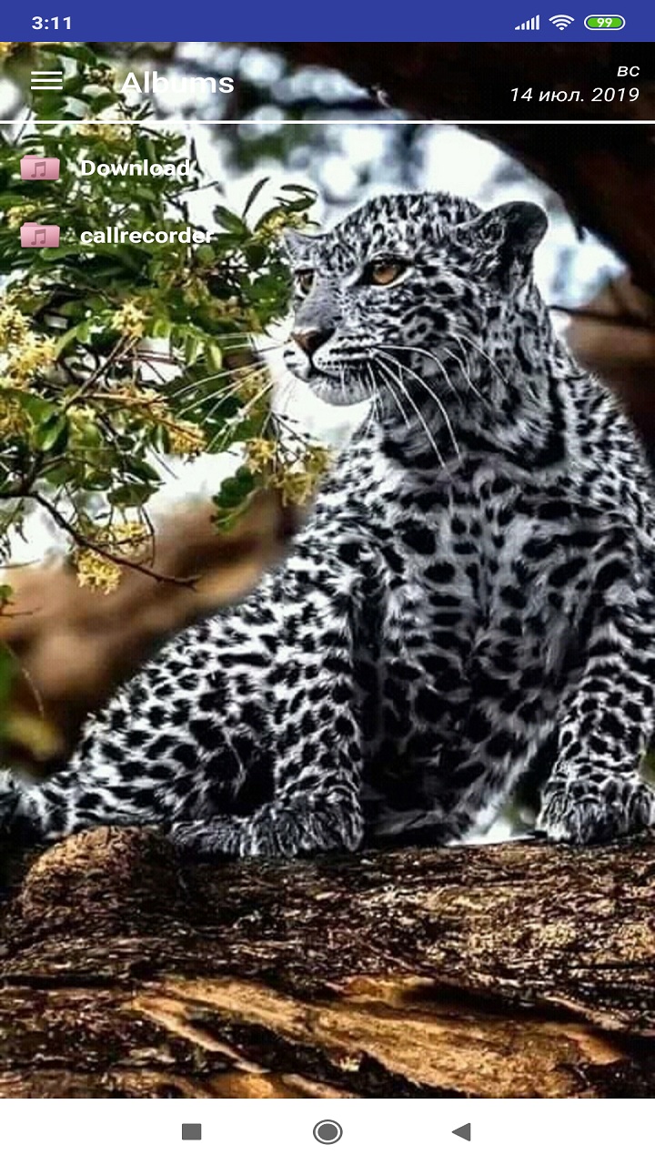 MP3 Player Lion - Music Pro - App on Amazon Appstore