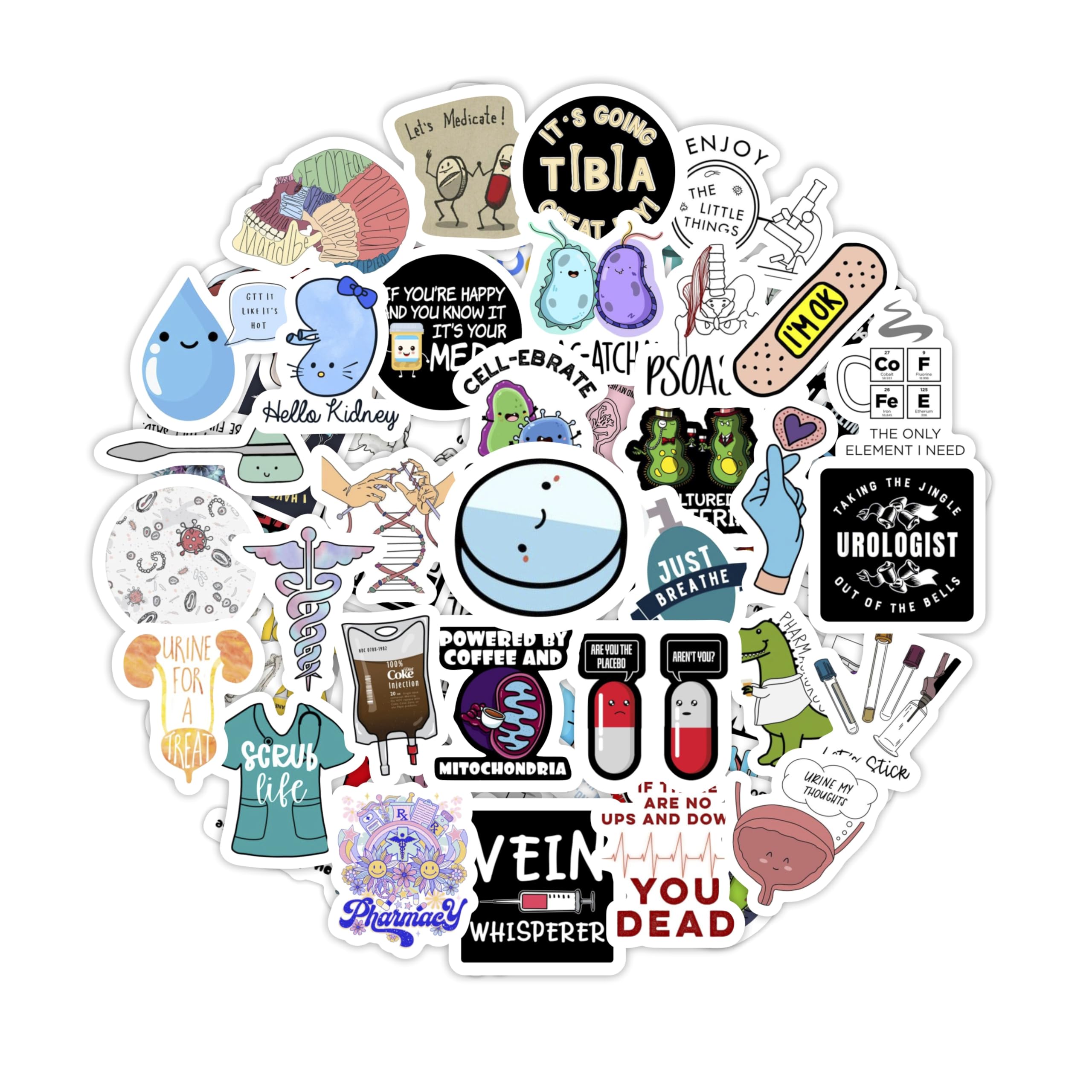 Amazon.com: 100Pcs Funny Healthcare Stickers for Water Bottle and ...