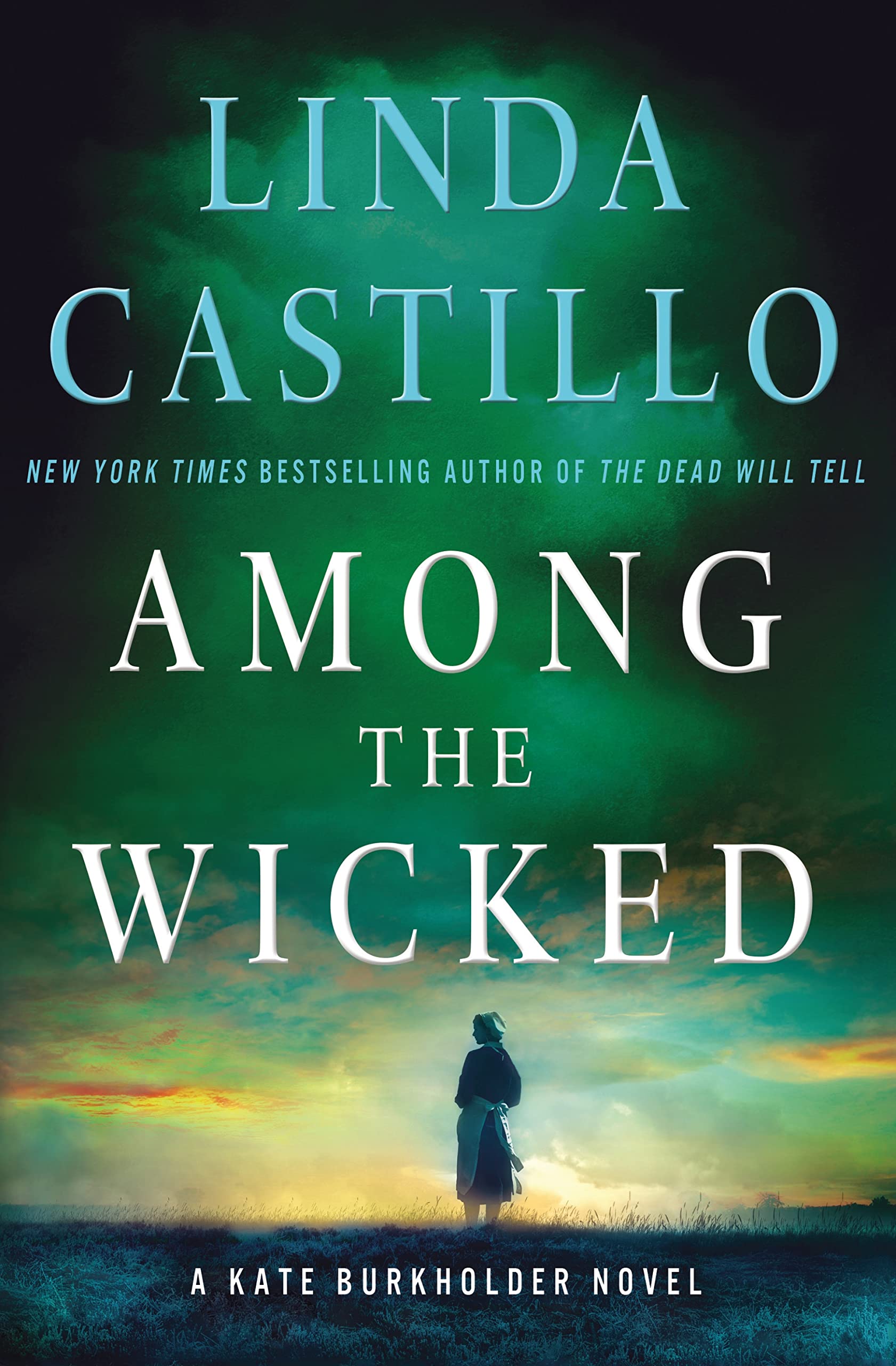 Among the Wicked: A Kate Burkholder Novel (Kate Burkholder, 8 ...