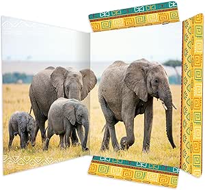 Amazon.com : RNKVERLAG 45377 - Elephant Drawing Folder 310 x 440 mm ...