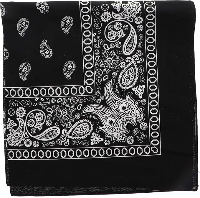 Amazon.com: Extra Large Paisley Bandana 27x27 Inch (Black) : Clothing ...