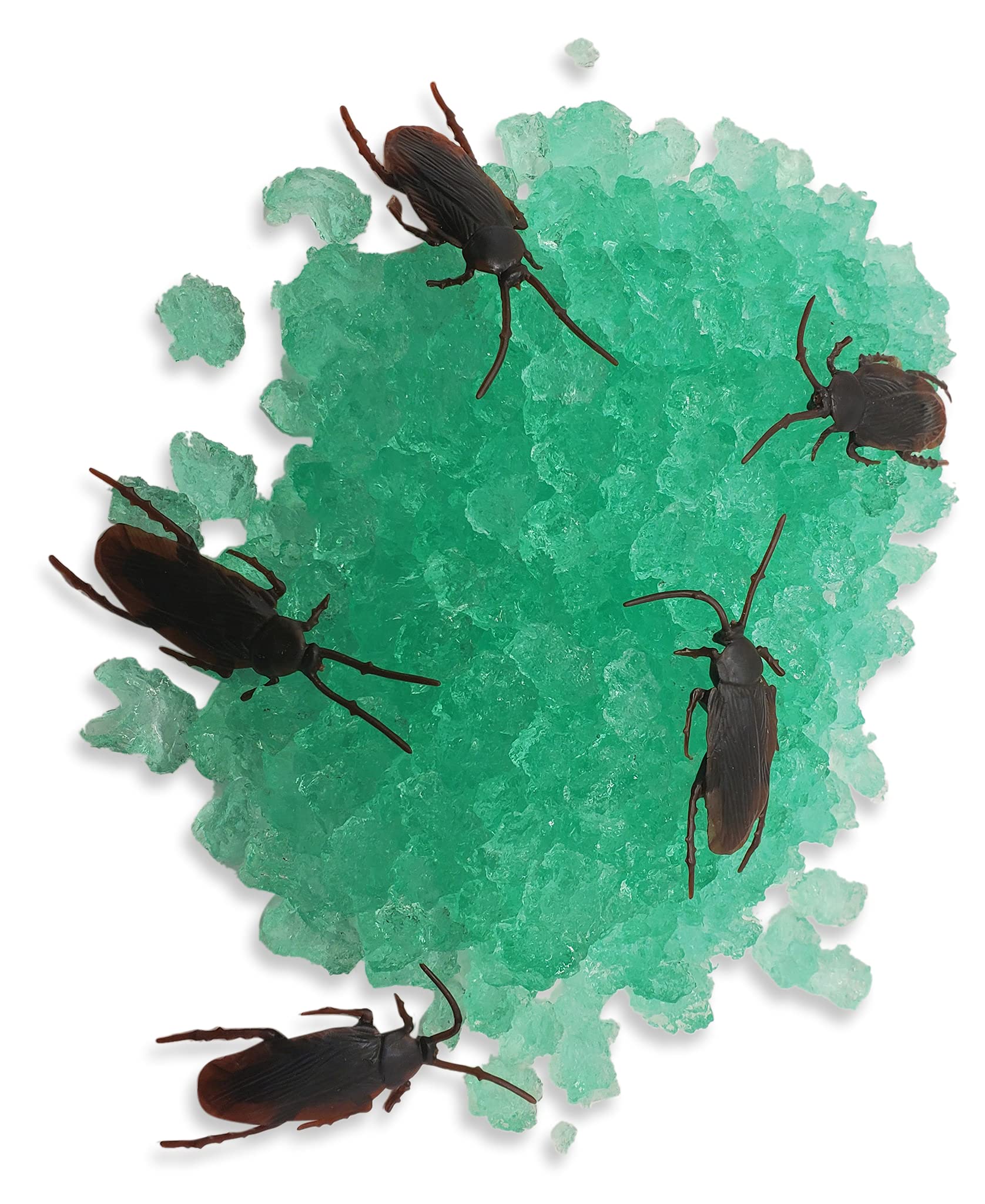 Buy Insect Watering Gel, Cricket Quencher, Water Bites, Water Source ...