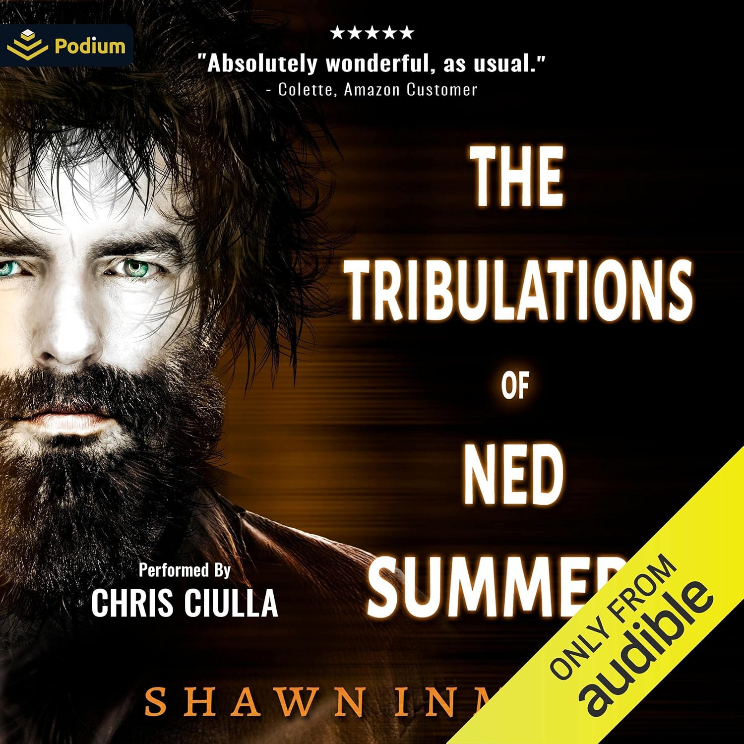 Amazon.com: The Tribulations of Ned Summers: Middle Falls Time Travel ...
