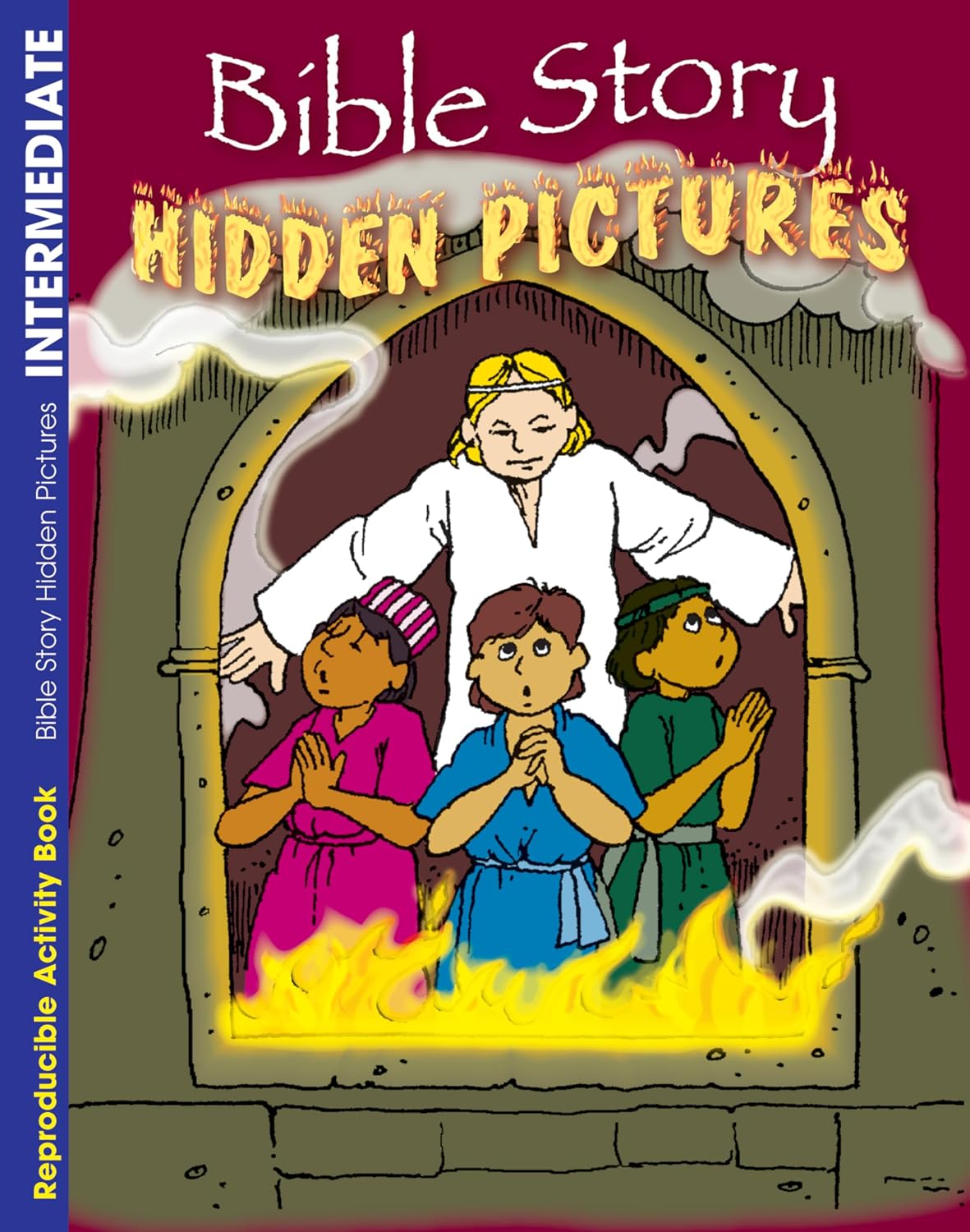 Bible Story Hidden Pictures: Robin Fogle, Michael Denman: 9781593171612 ...