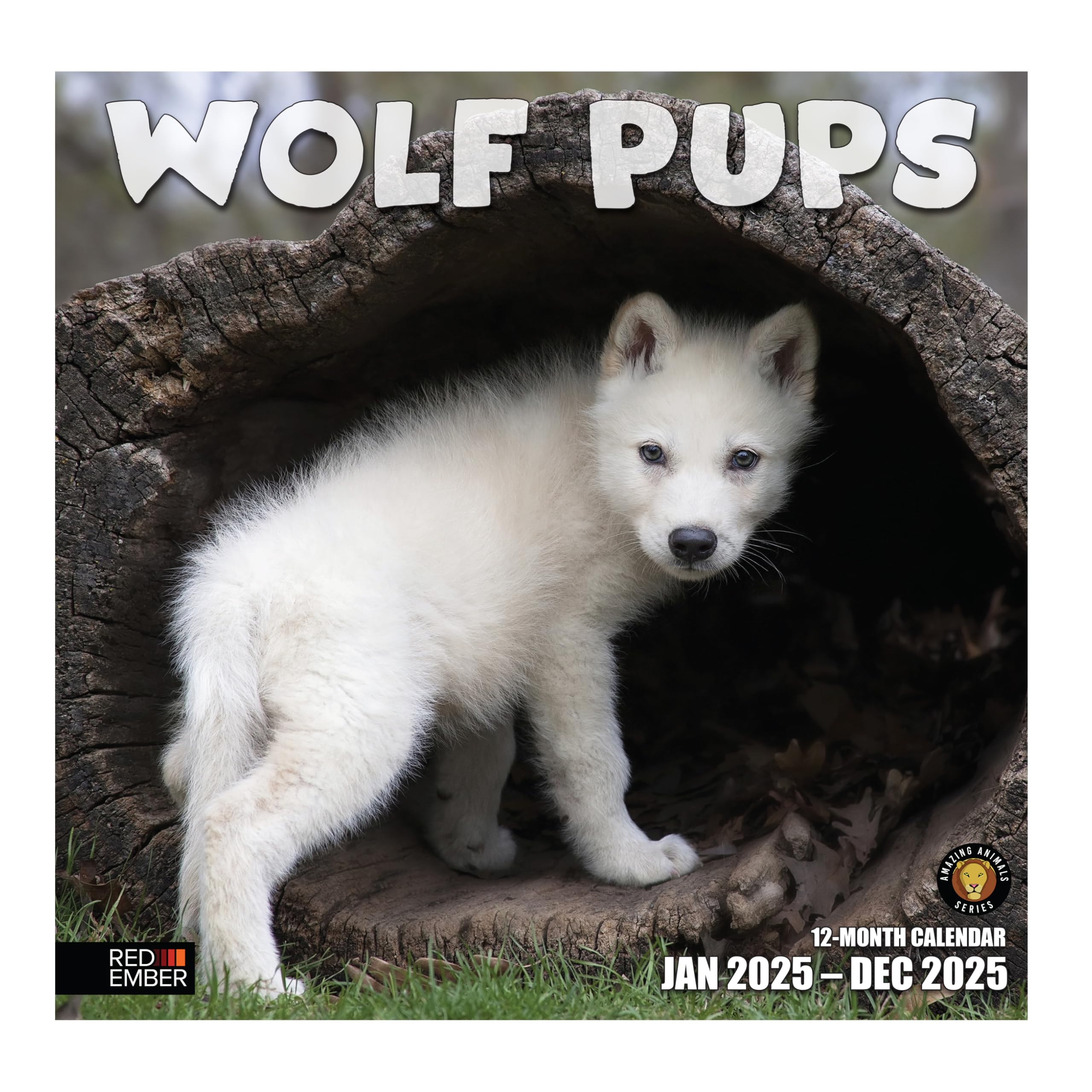Amazon.com: RED EMBER Wolf Pups 2025 Wall Calendar 12 Month | 12" x 24" Open | Thick & Sturdy ...