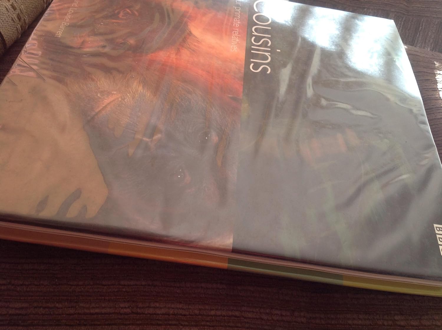 Cousins: Our Primate Relatives: Amazon.co.uk: Dunbar, Robin, Barrett ...
