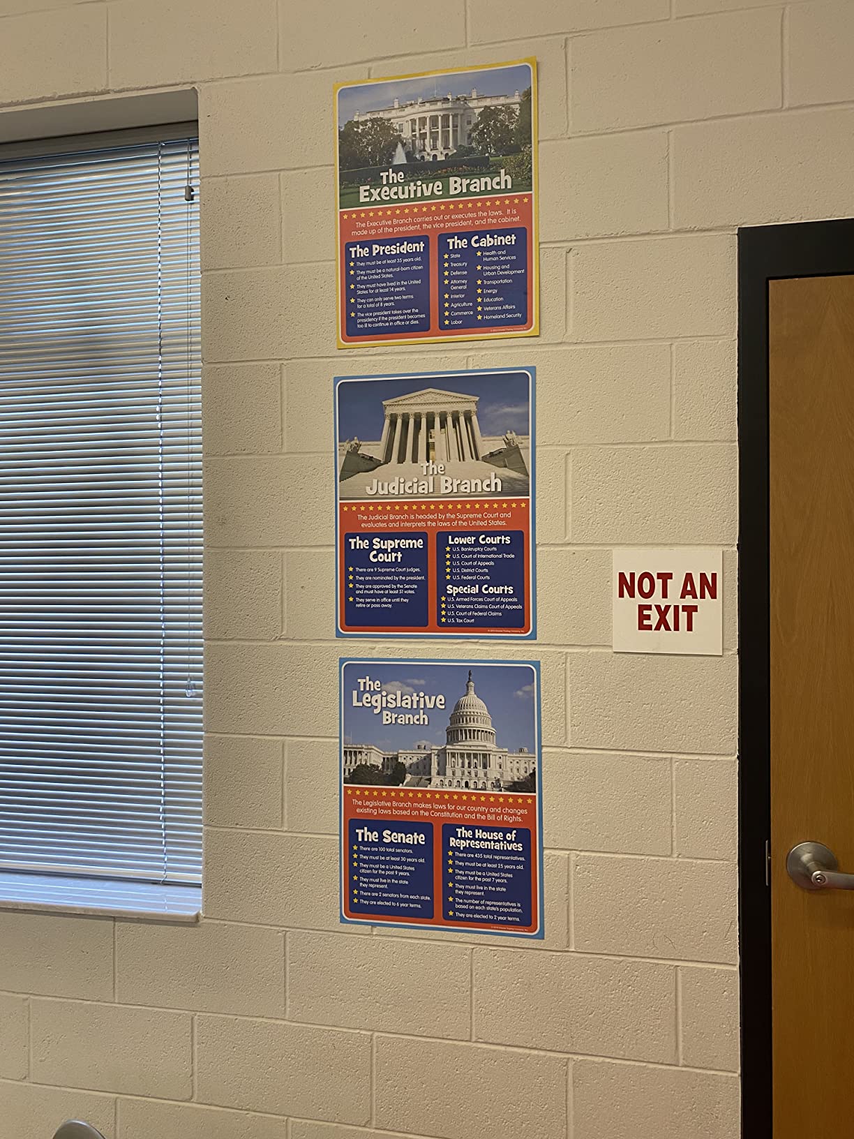 Amazon.com: Fun Express Branches of Government Posters, Set of 4 ...