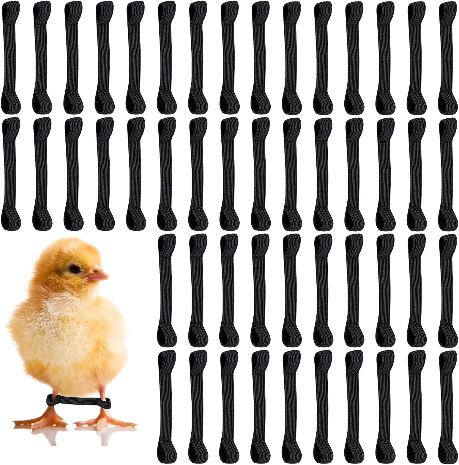 Amazon.com : Shitailu 50 Pieces Baby Chicken Splay Leg Hobble Brace ...