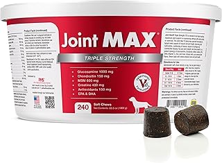 Safe Dosage Of Creatine For Dogs: What Owners Need To Know | PetShun