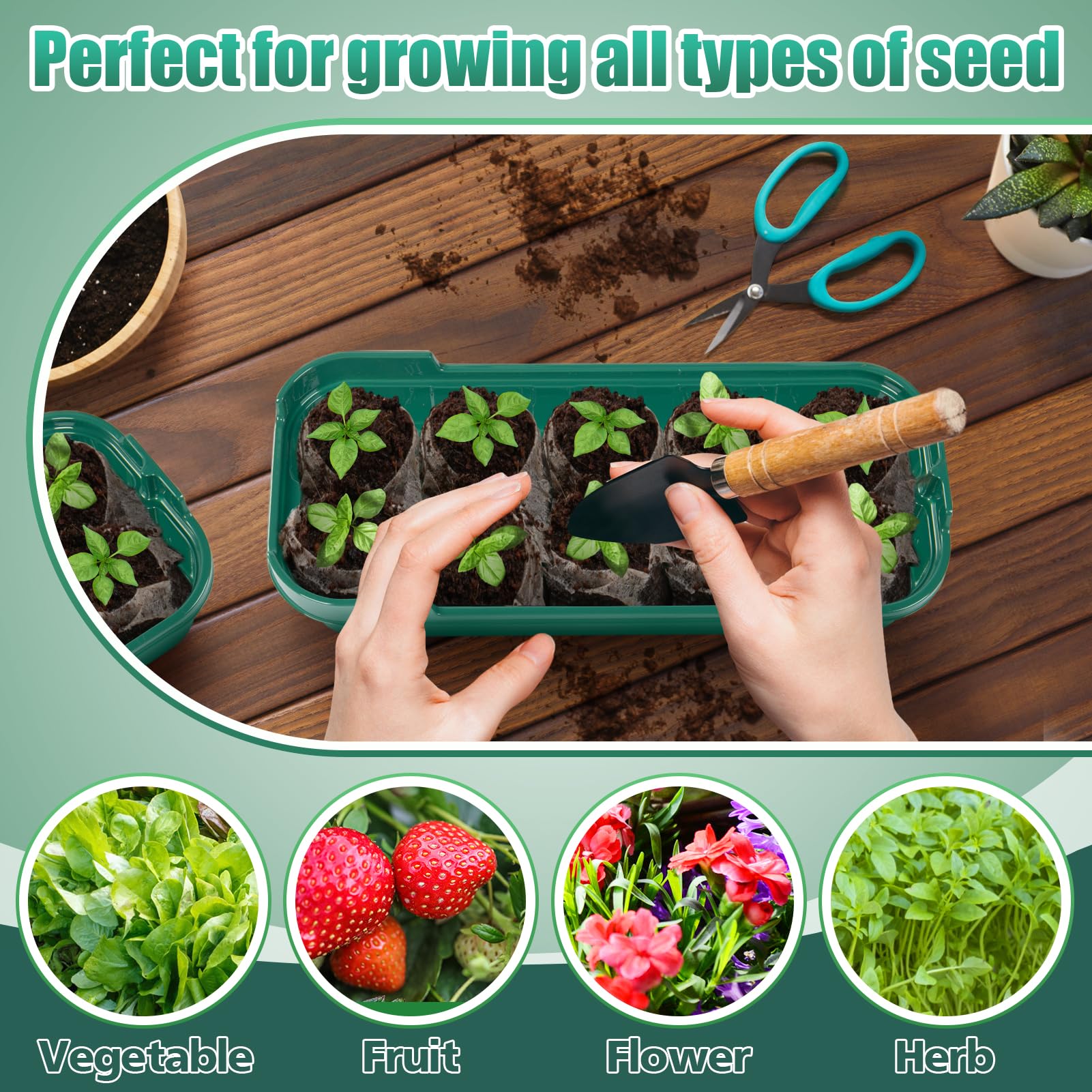 Snapklik.com : Bigmeta 6 Pack Seed Starter Kit- 60 Cells Adjustable ...