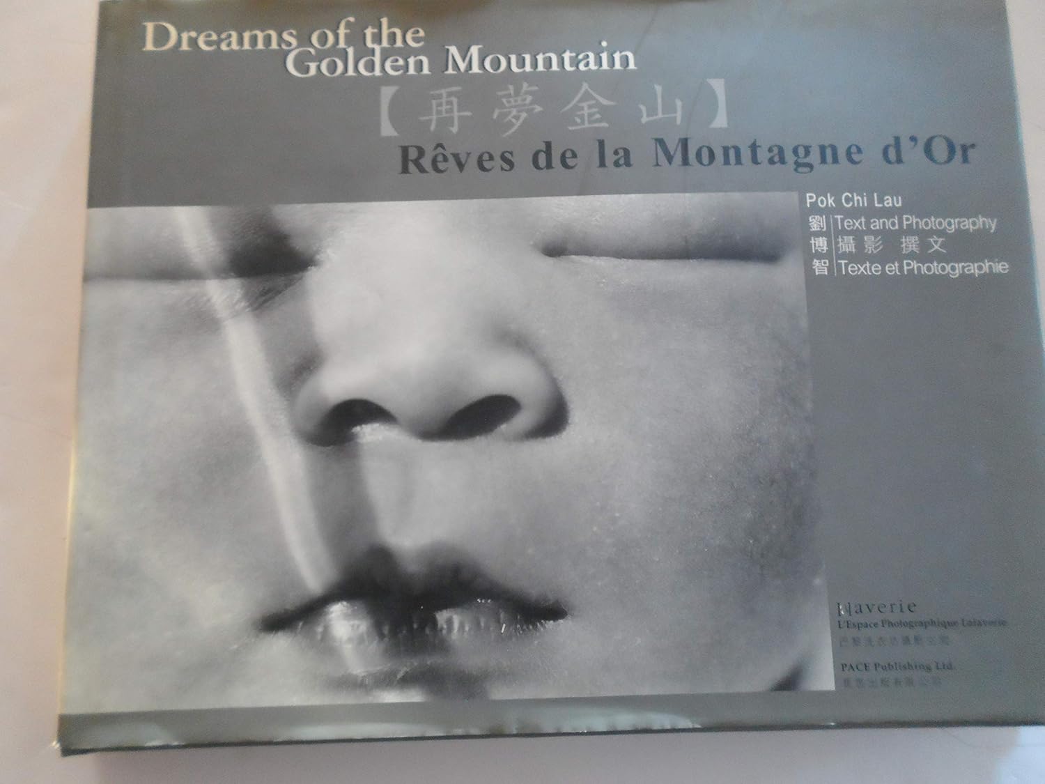 Dreams of the Golden Mountain: Lau, Pok Chi: 9789627723394: Amazon.com ...