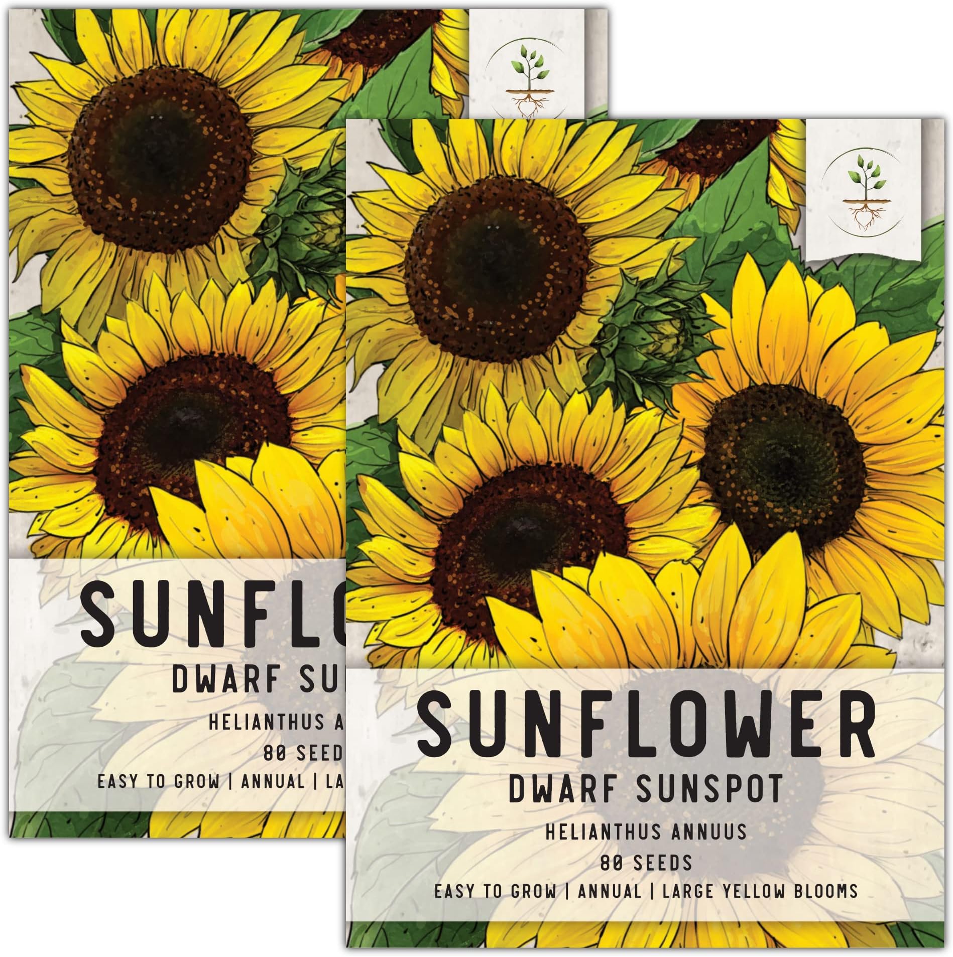 Amazon.com : Peredovik Sunflower - 50 Seeds - Heirloom & Open ...