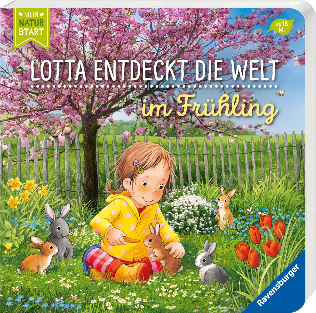 Amazon.com: Lotta entdeckt die Welt: Im Frühling : Video Games