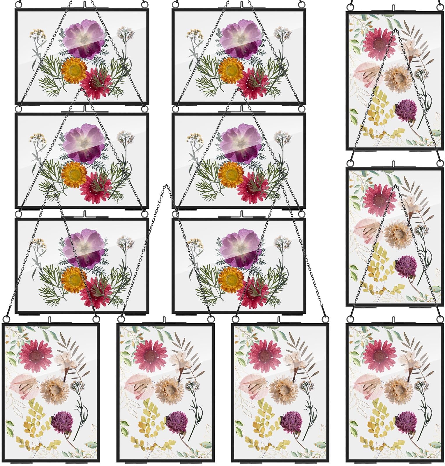 Amazon.com - Barydat 12 Packs Pressed Flowers Glass Frames 5 x 7 Inch ...
