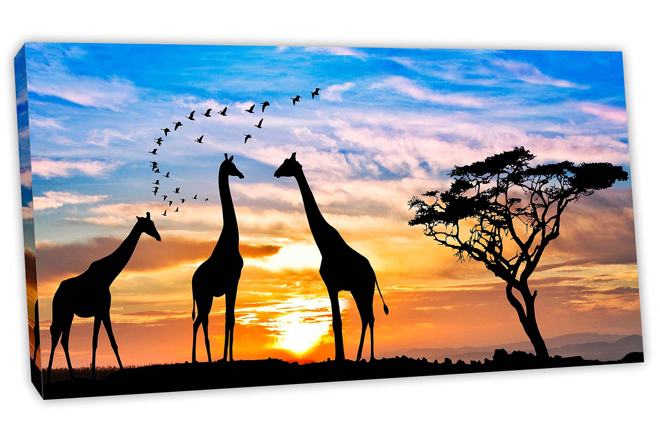 Giraffe Silhouette Sunset