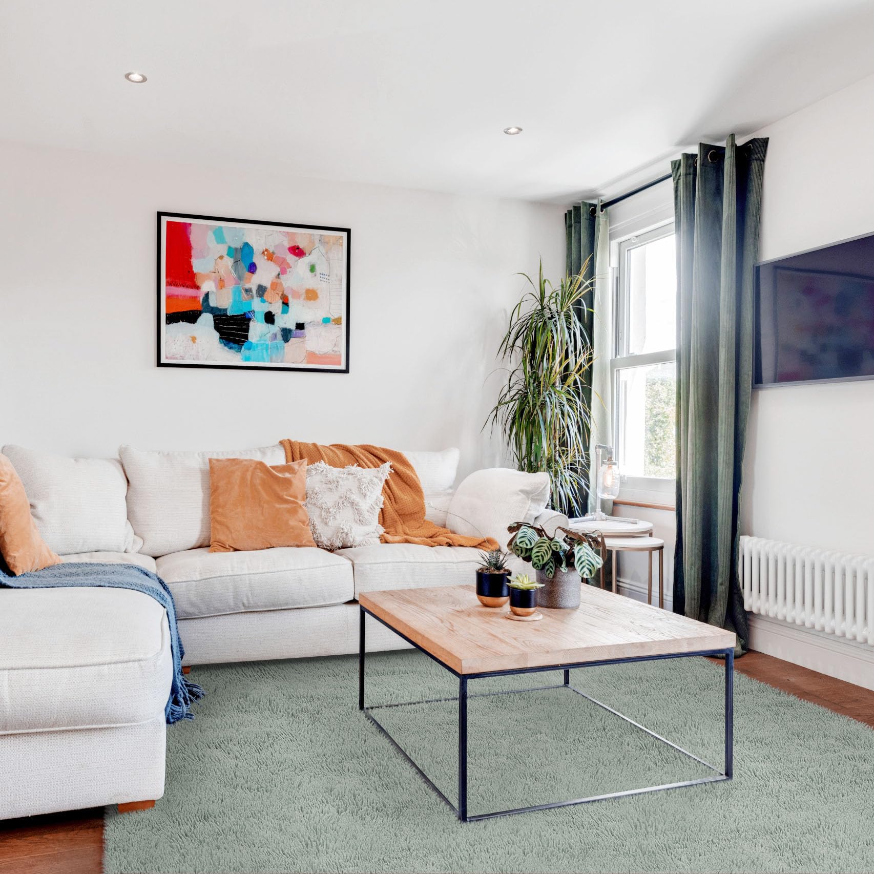 Amazon.com: FVVRAX Fluffy Light Green 5x7 Area Rug for Living Room ...