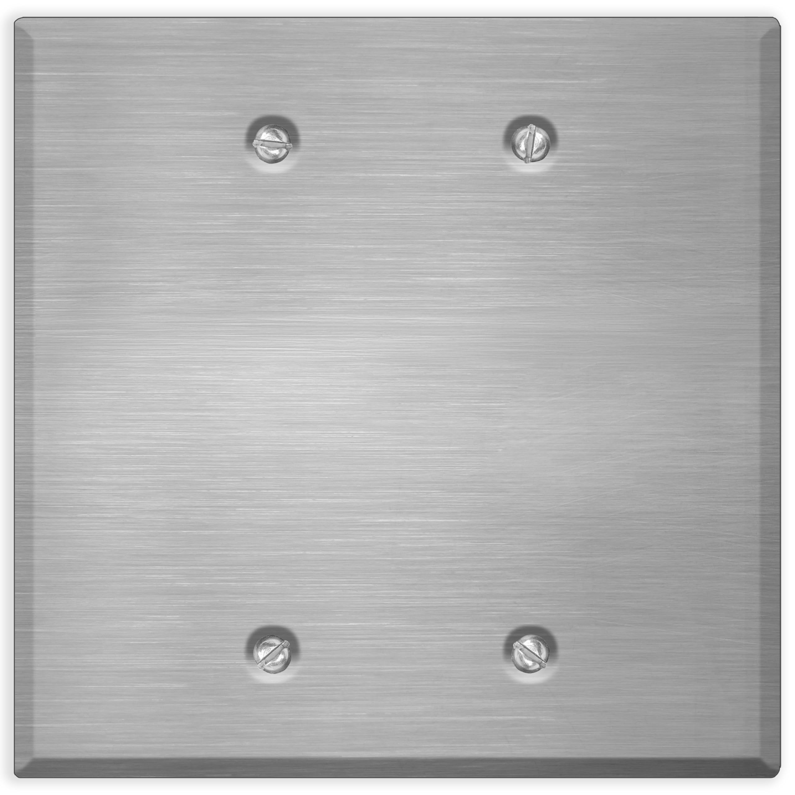Oversized Stainless Steel Outlet Covers, Blank 2-Gang Wall Plate, 5.5 ...