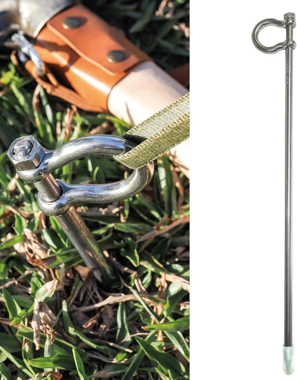 Amazon.com: Heavy Duty Stainless Steel Dog Stake - 16 Inch Tie Out ...