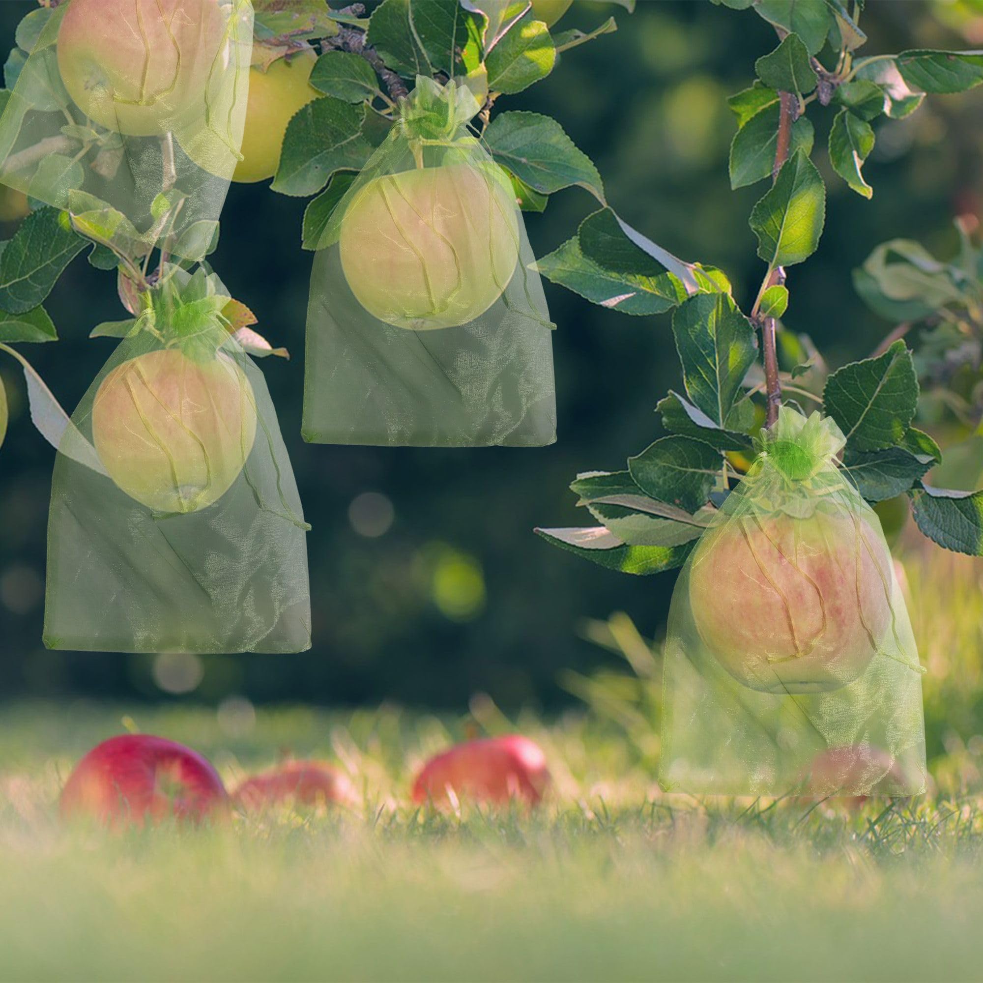 100 PCS Fruit Protection Bags Fruit Netting Bags with Drawstring Fruit ...