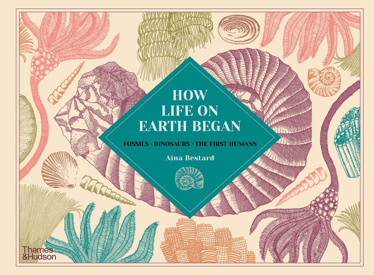 How Life on Earth Began : Bestard, Aina: Amazon.in: Books