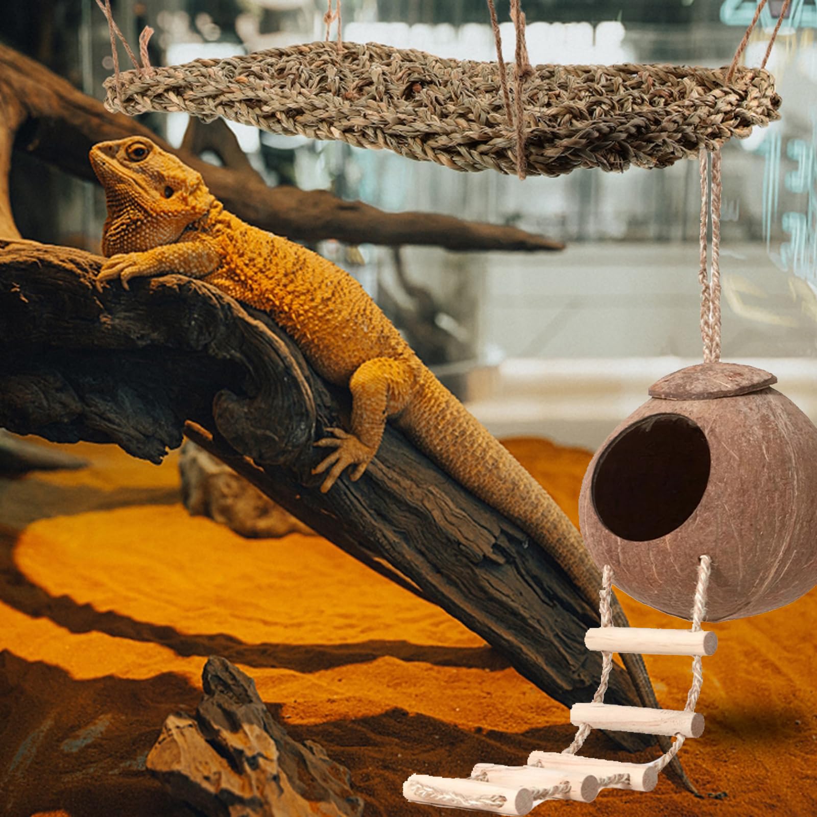 Snapklik.com : Crested Gecko Tank Accessories, Reptile Vines And Plants ...