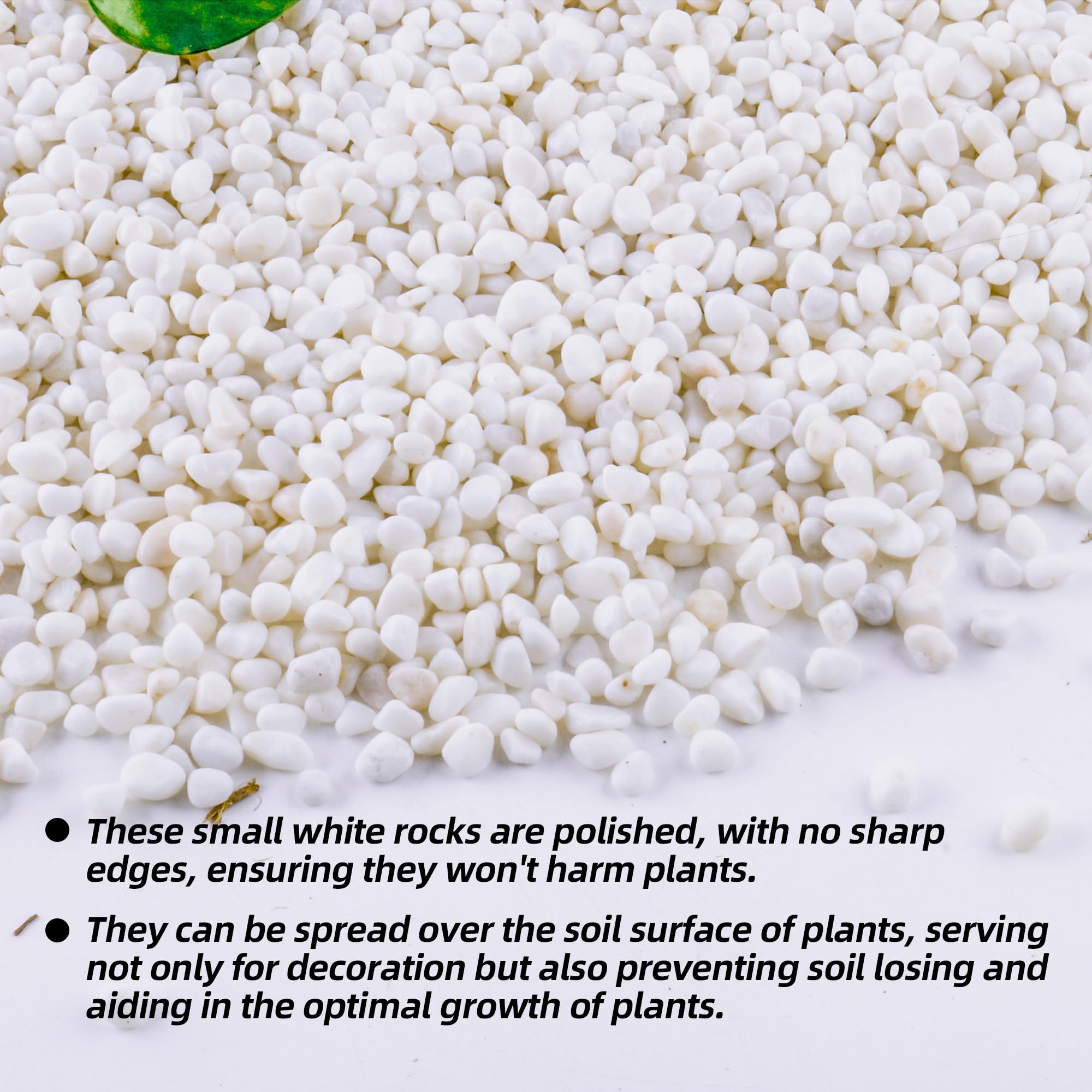 Snapklik.com : 2.4lb 1/4" Small White Rocks For Plants,Potting ...