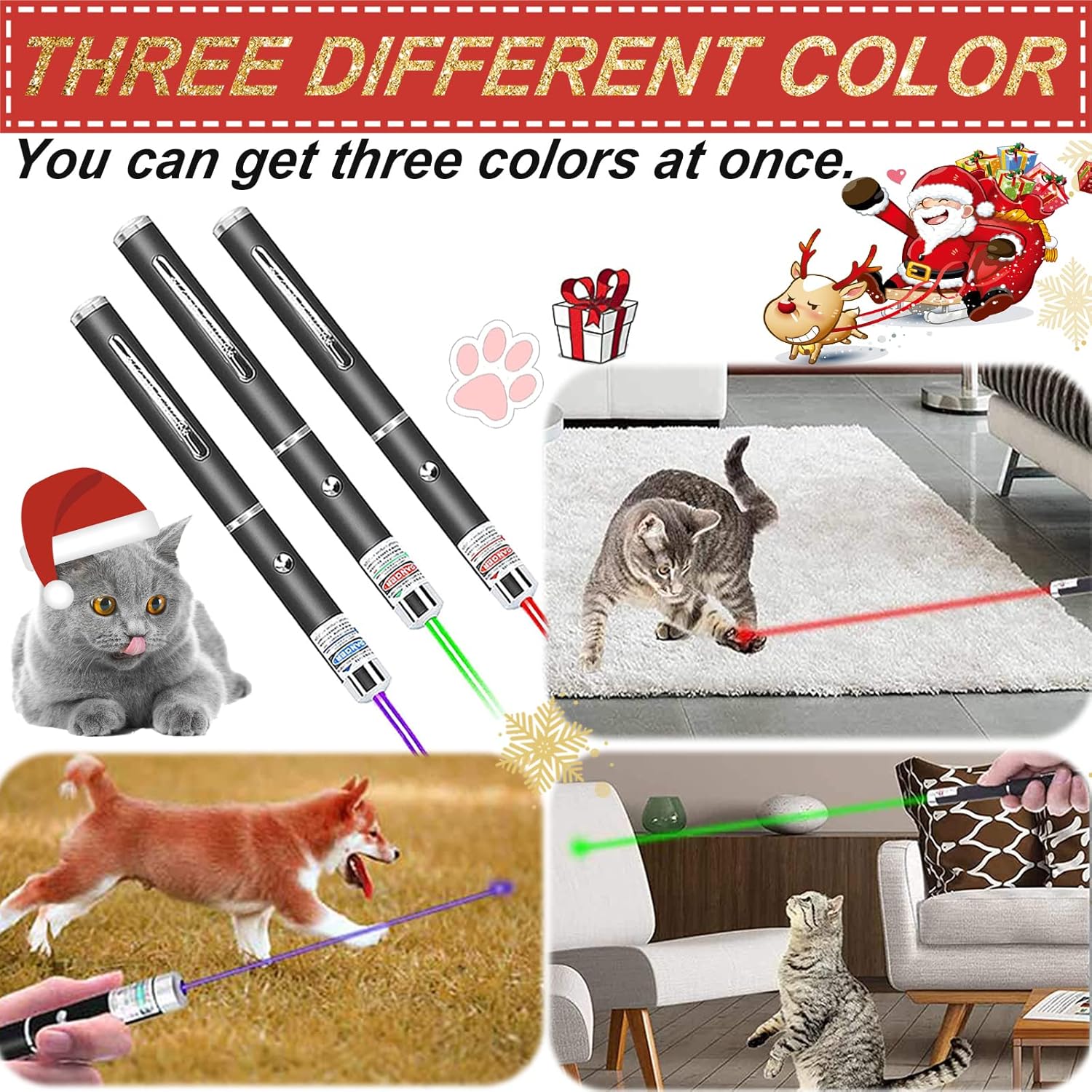 Do Dogs Chase Laser Pointers