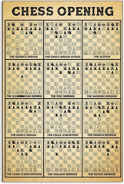 Amazon.com : Chess Knowledge Metal Tin Signs Chess Opening Reading ...