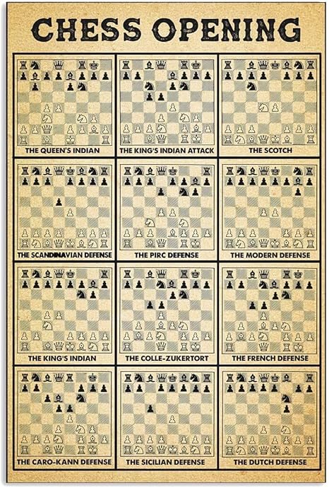Amazon.com : Chess Knowledge Metal Tin Signs Chess Opening Reading ...
