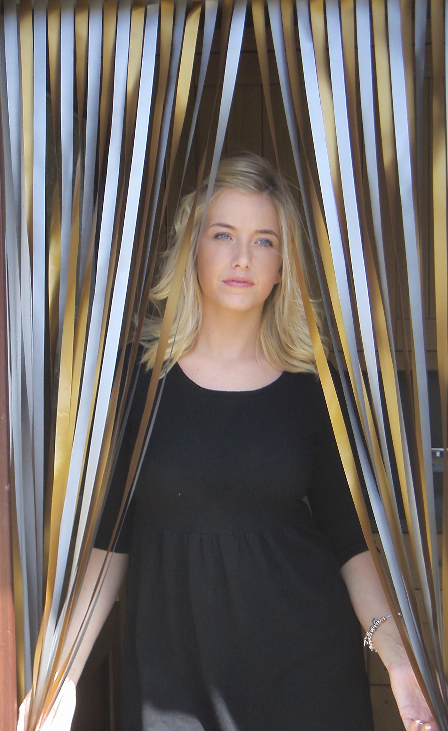 Heavy Duty Bug & Fly Blind - Strip Blind for Door - 'WHITE/SILVER ...