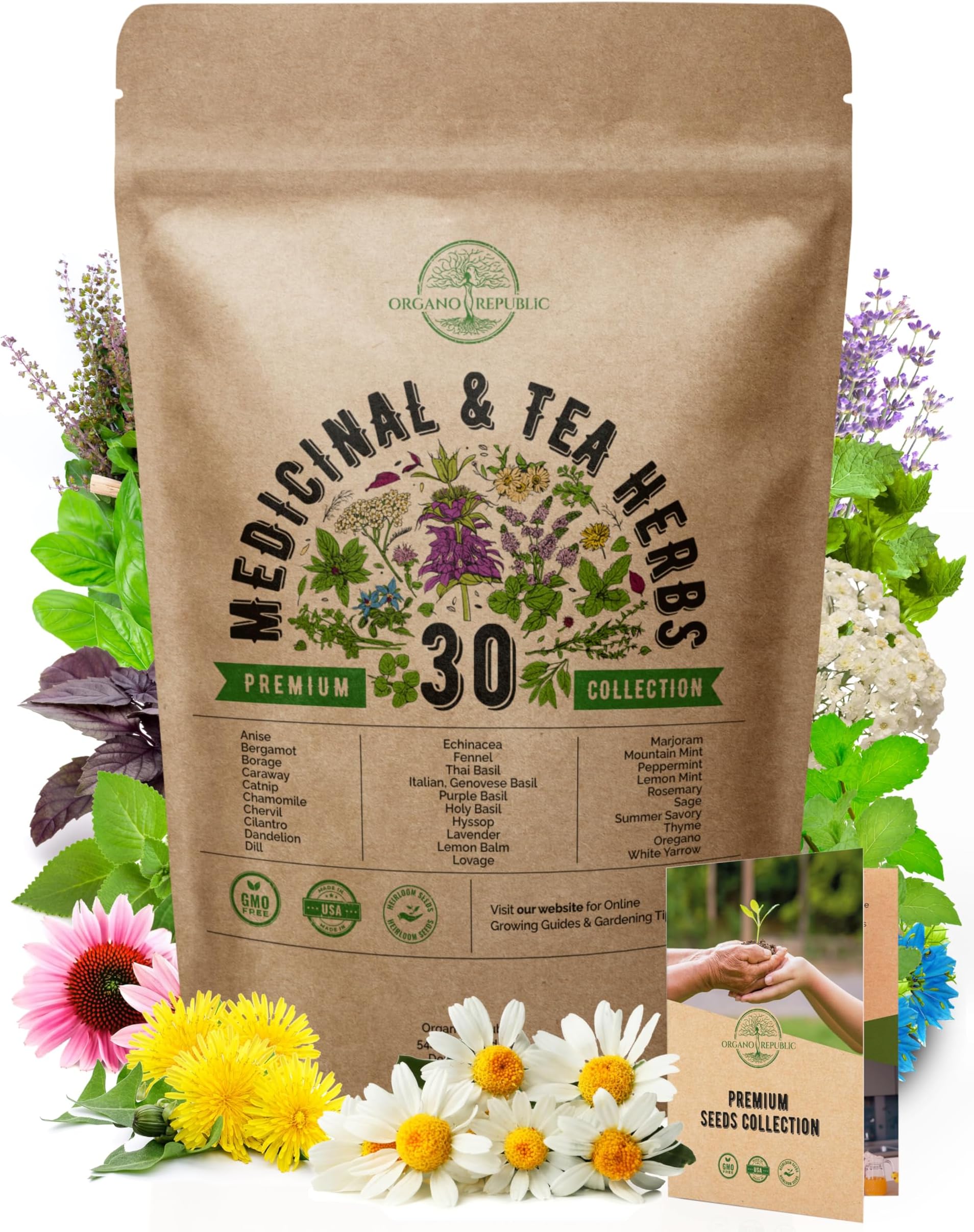 Amazon.com : Green Tea Plant Seeds - Camellia sinensis, also known as ...