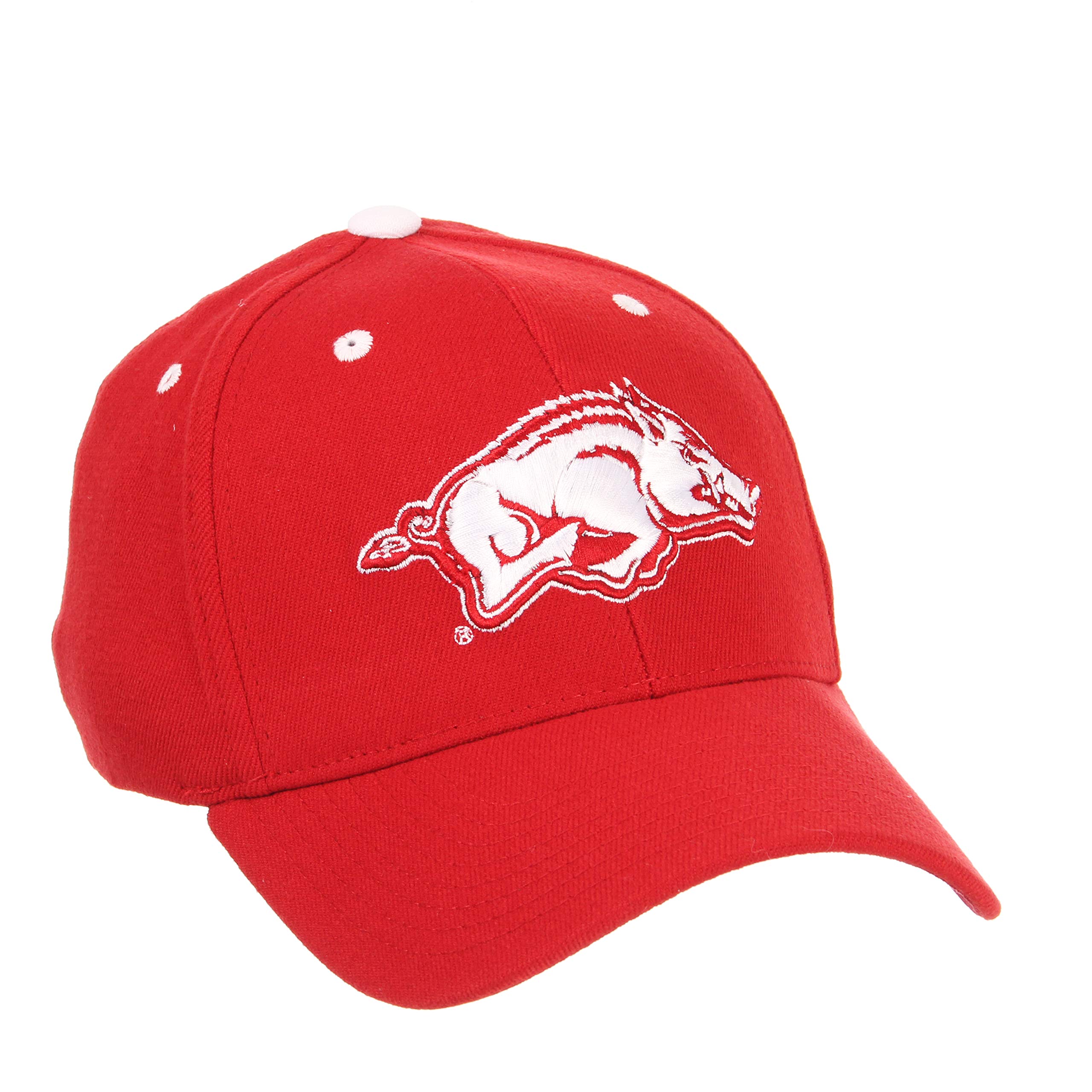 Snapklik.com : Mens Standard Stretch Fitted Hat Team Color