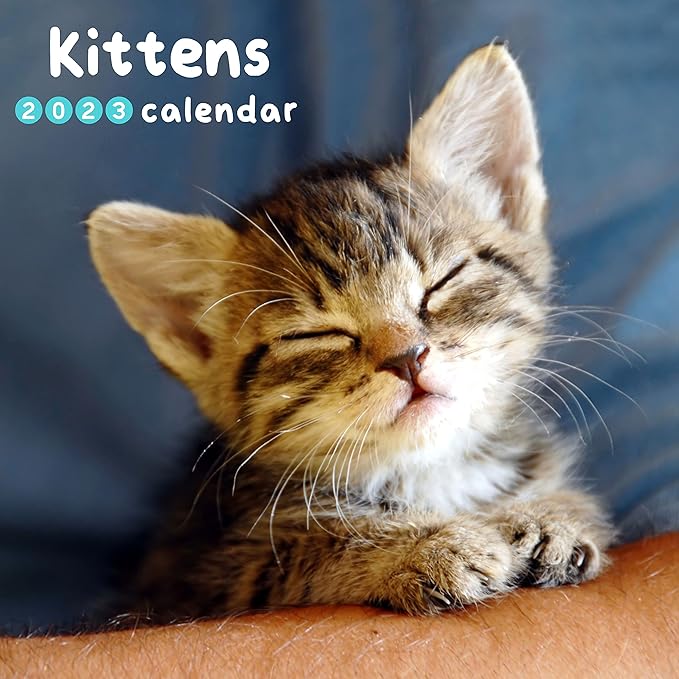 Amazon.com: Yasest Cute Kittens Wall Calendar 2023 Monthly | 11" x 16.5 ...