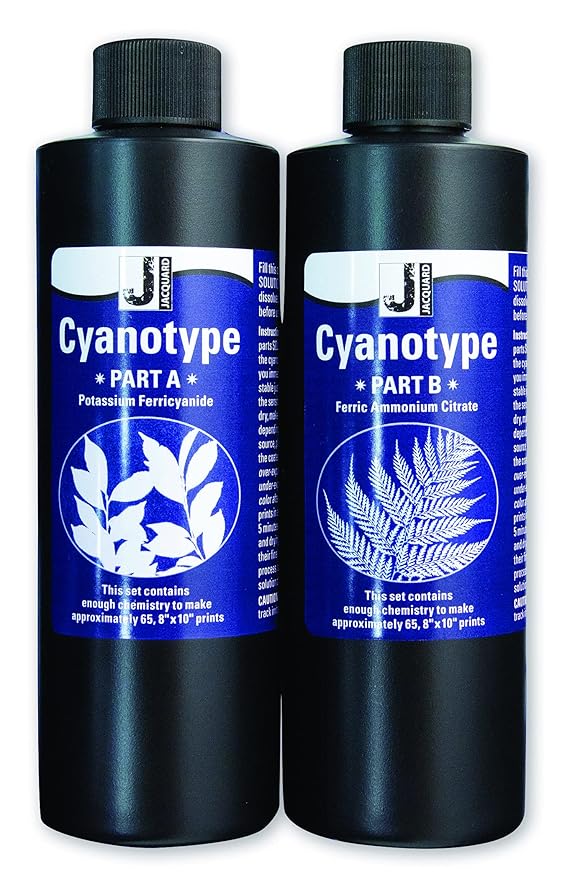 Jacquard Cyanotype Sensitizer Set - Pack of 2 : Amazon.in: Home & Kitchen