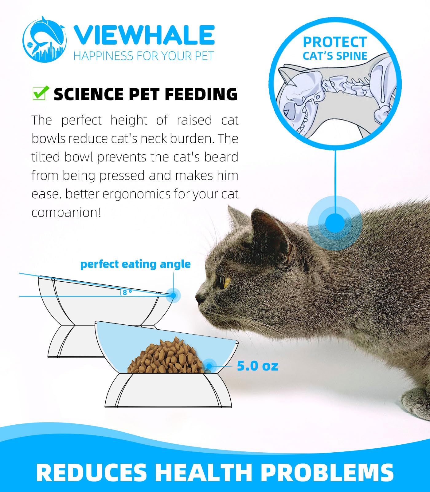 VIEWHALE Raised Cat Food Bowl(6 inches), Elevated Tilted Flat Cat Bowl ...
