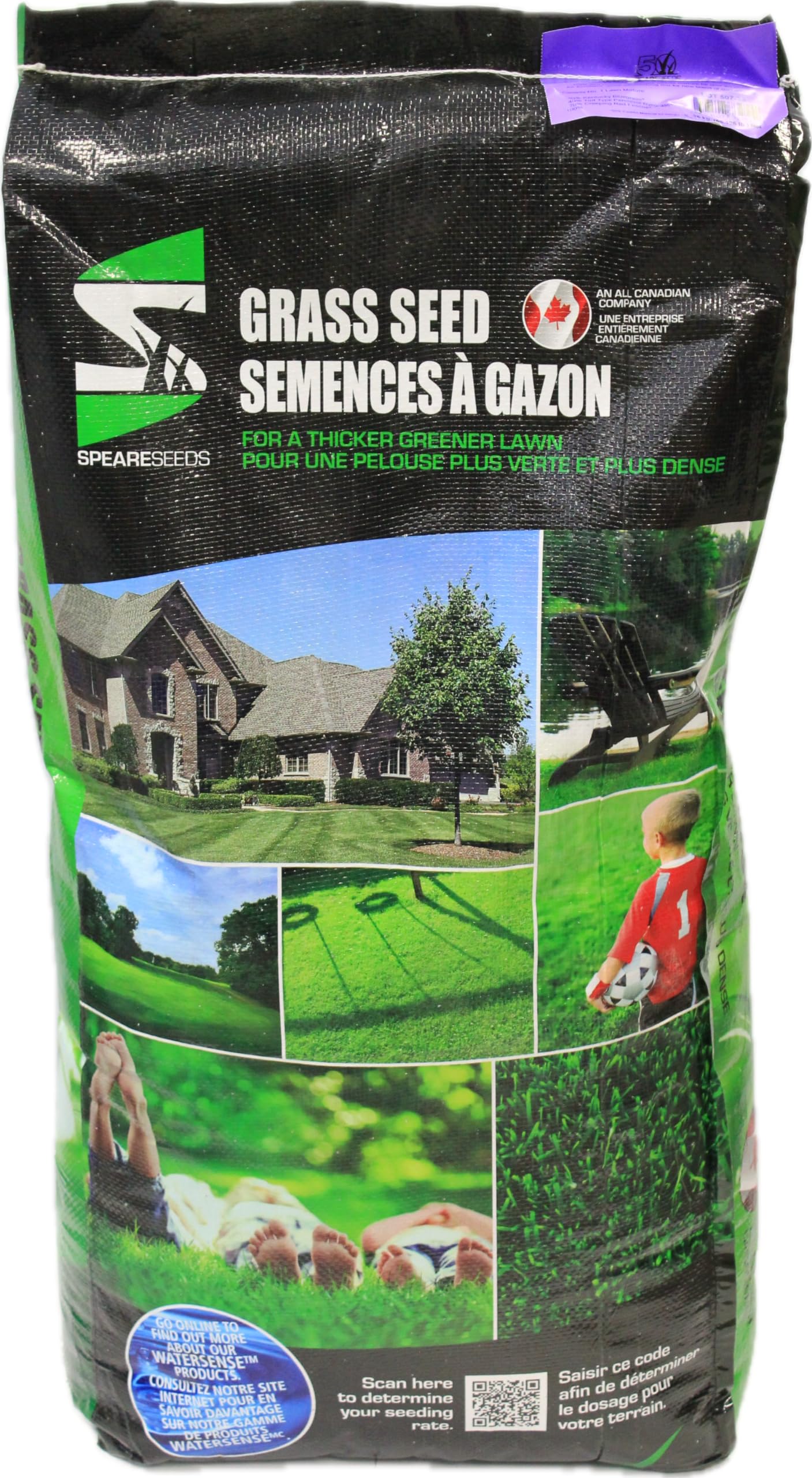 Eco Solutions Premium Grass Seed - Tried and Proven Mixture for 40 ...