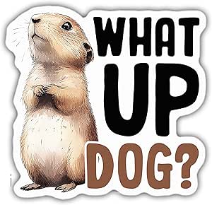 Amazon.com: Prairie Dog Sticker Prairie Dog Lover Decal Cute Animal ...