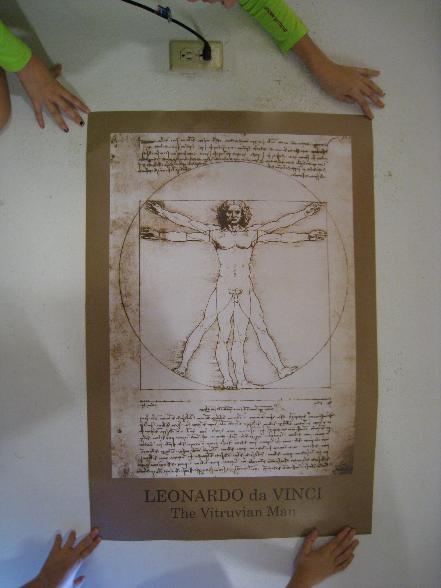 Amazon.com: Studio B The Vitruvian Man Poster: Artwork: Posters & Prints