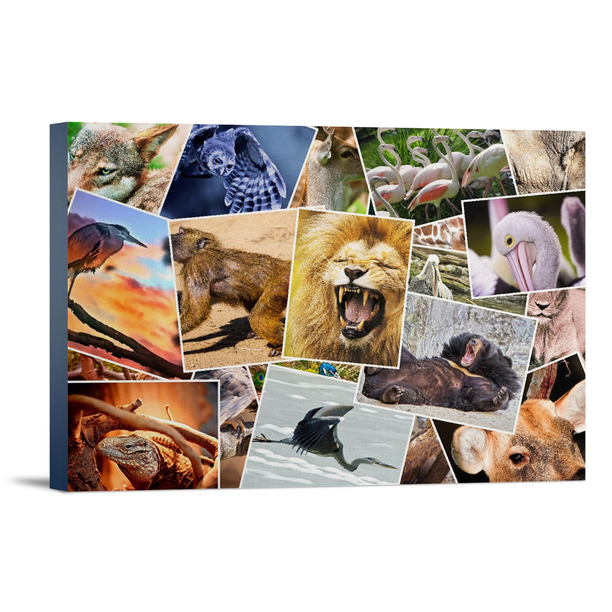 Collage De Imágenes De Animales Salvajes